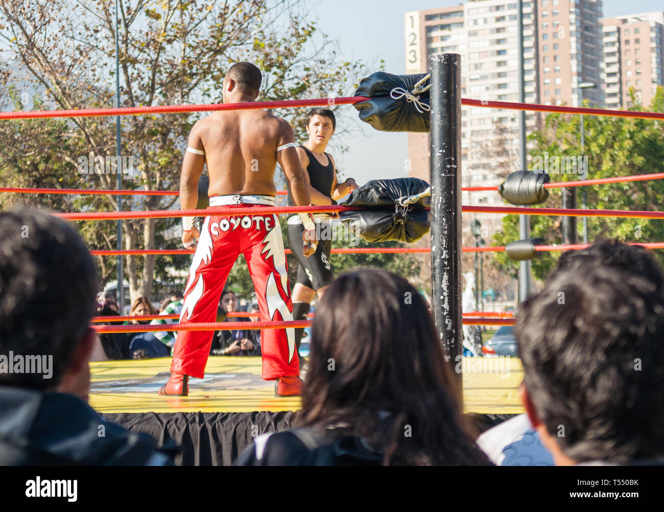 SANTIAGO CHILE - JUNE 24 2012; Outdoor crowd watching martial arts ...
