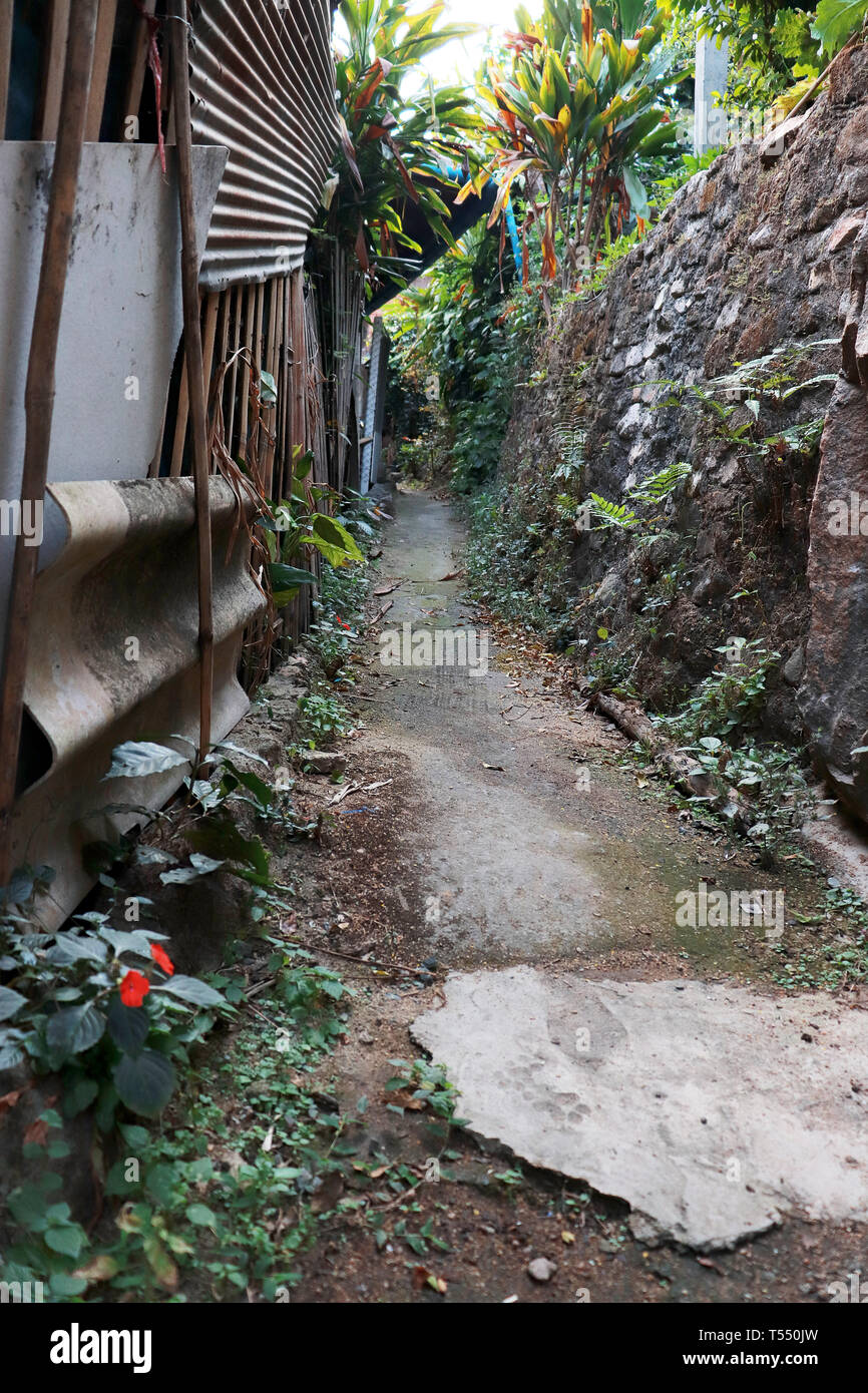 Wooden path, way, track from planks in forest park, perspective image ...