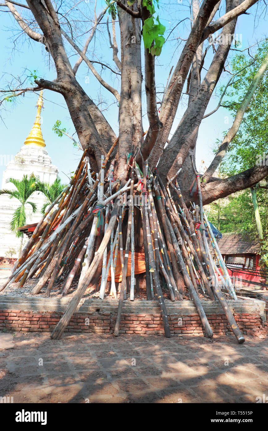 Strut brace hi-res stock photography and images - Alamy