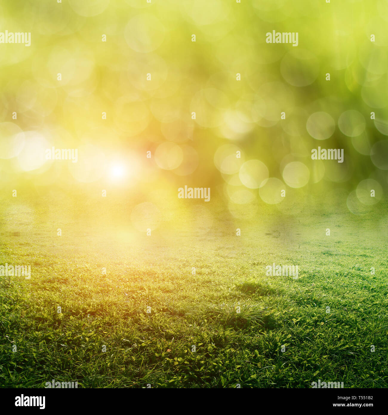 Grass and field. Natural landscape Stock Photo - Alamy