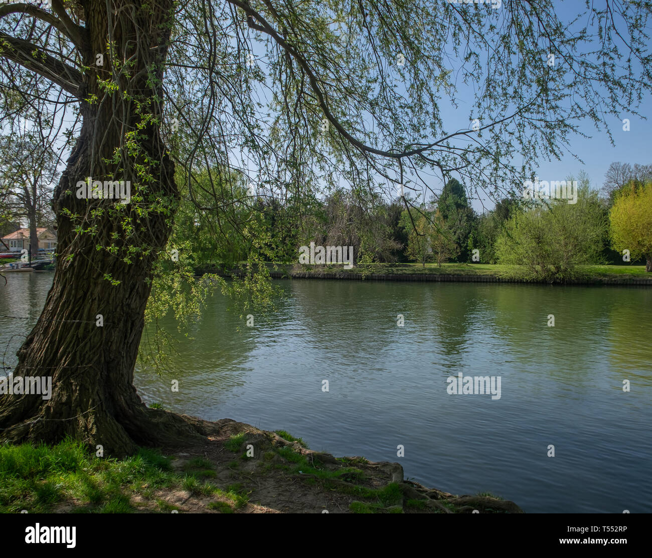 Wallingford - Oxfordshire Stock Photo - Alamy
