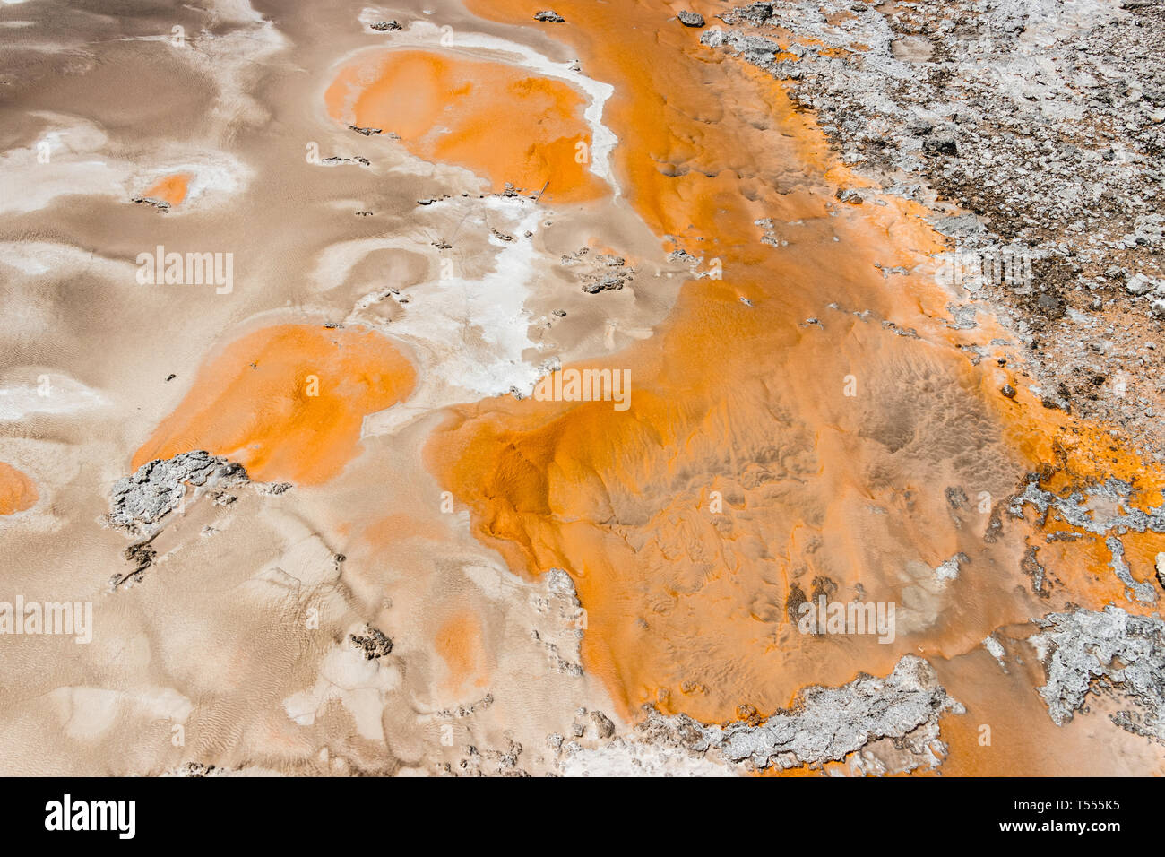 Hot Spring sulfur water Close-up - Yellowstone National Park. Minerals ...