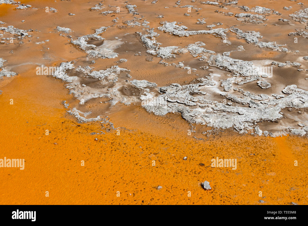 Hot Spring sulfur river Close-up - Yellowstone National Park. Minerals ...