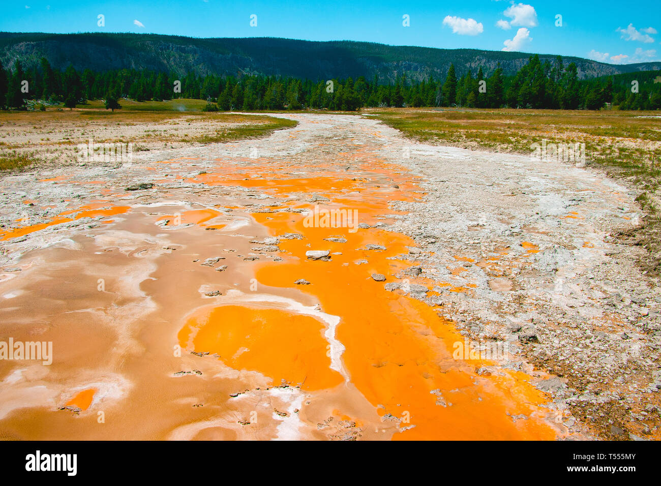 Hot Spring sulfur river in Yellowstone National Park. Geothermal yellow ...