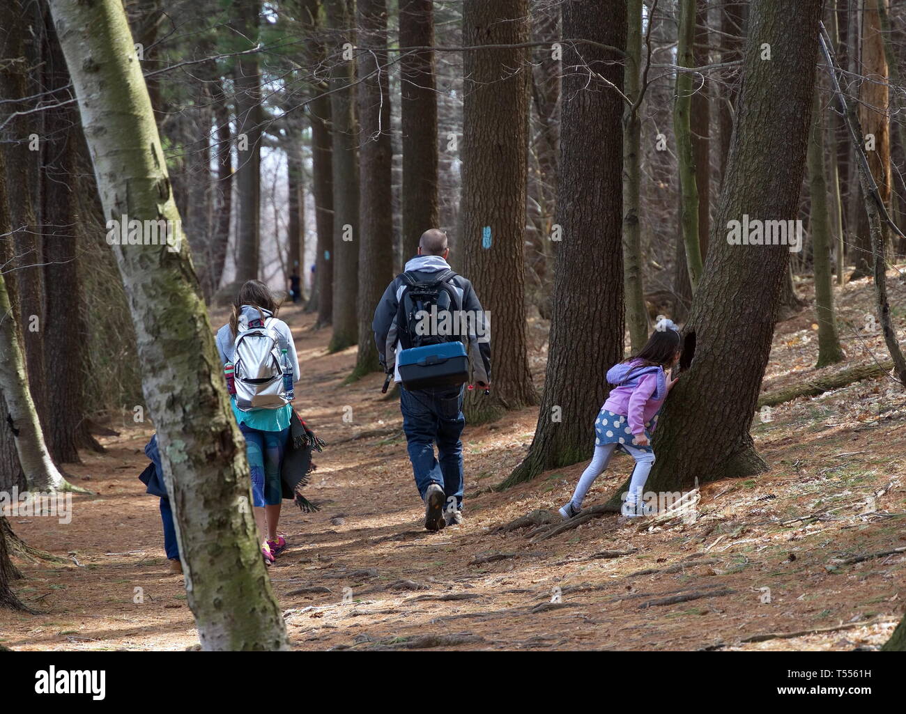 Meriden, CT USA. Apr 2019. A family hiking a park trail while daughter ...