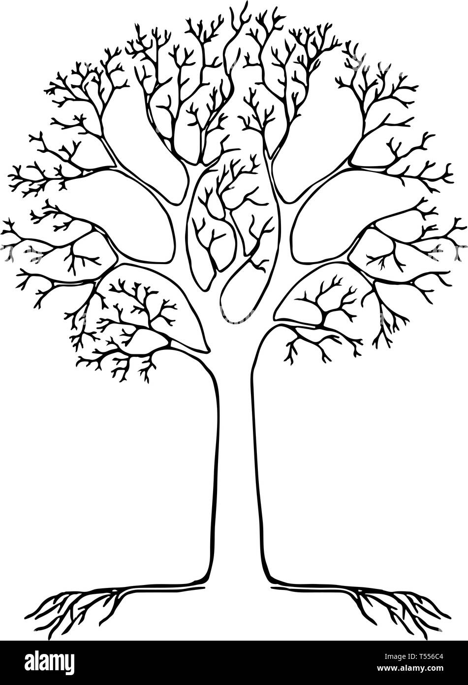 Tree. Black line vector. Empty places to enter 4 words Stock Vector ...