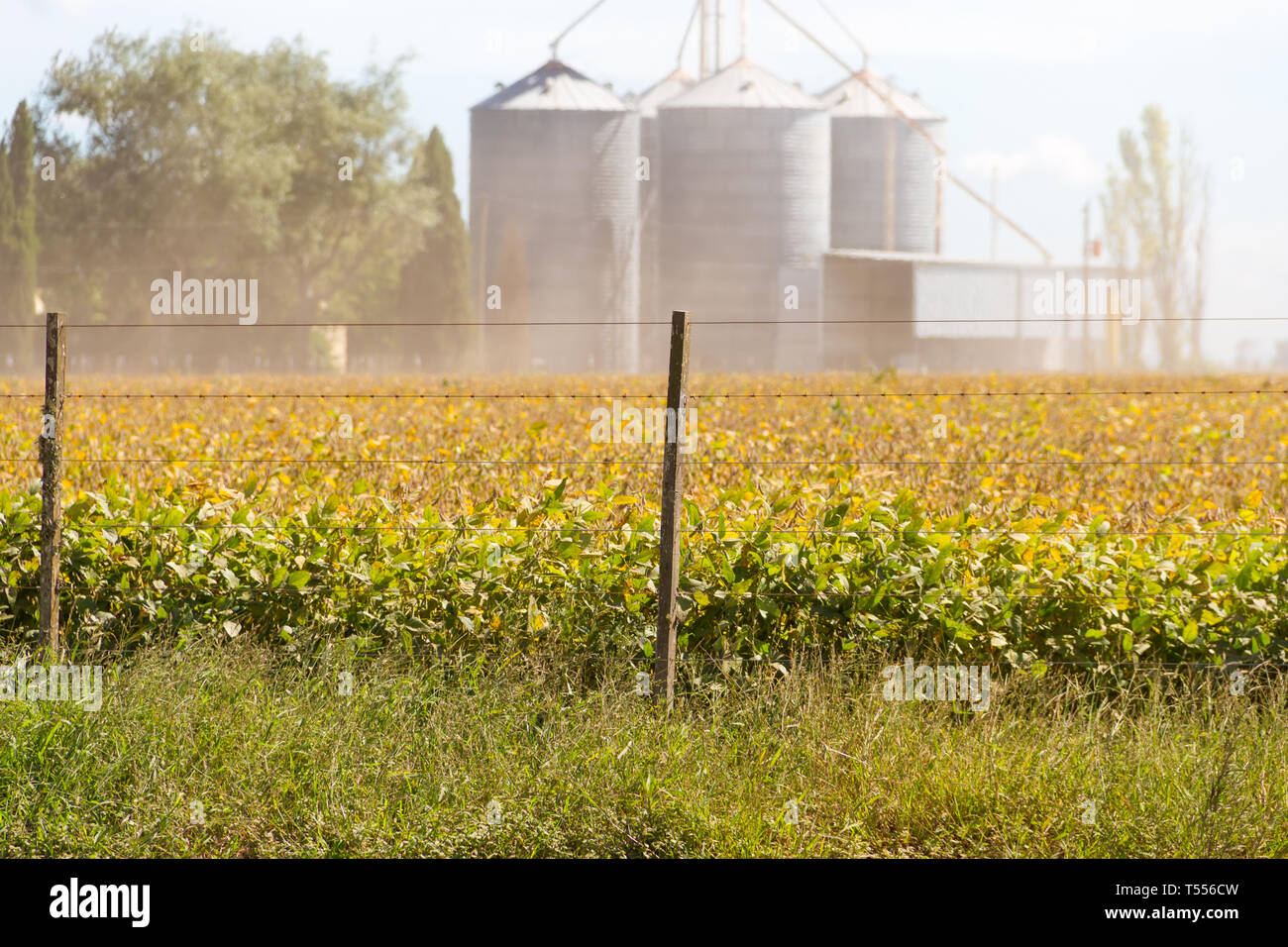 Soybean factory hi-res stock photography and images - Alamy