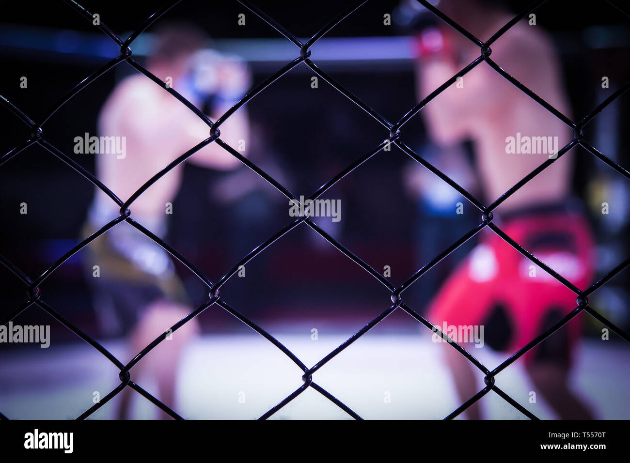 Sports concept of fighting without rules.Two boxer athletes in the ...