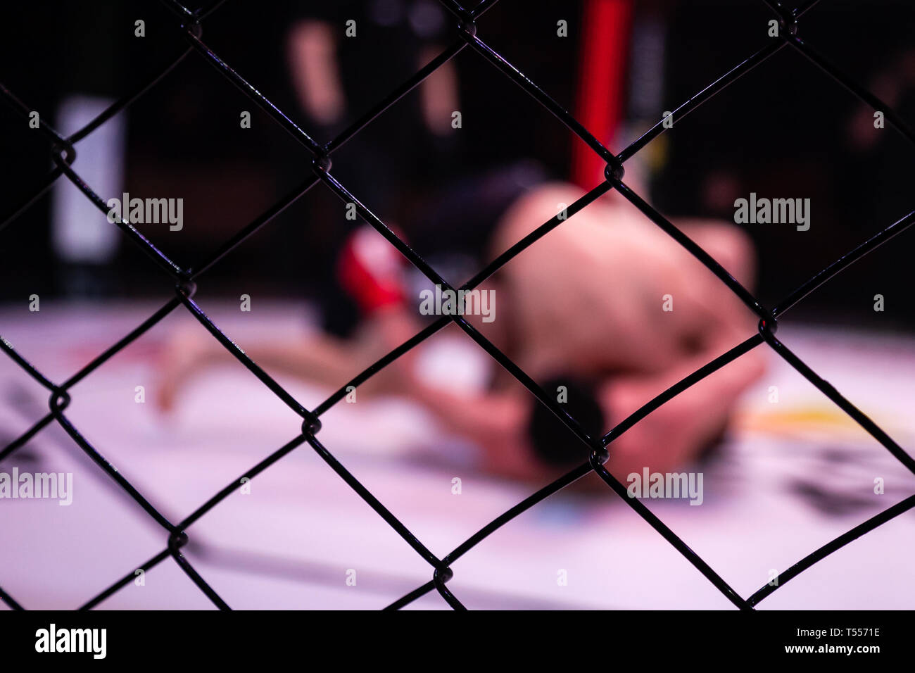 Sports concept of fighting without rules. Two athlete wrestlers in the ...