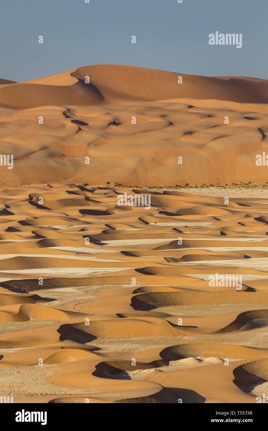UAE, Abu Dhabi Province, Liwa Oasis, Rub Al Khali desert (Empty Quarter ...