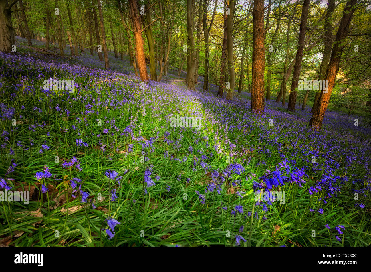 Ten acre field hi-res stock photography and images - Alamy
