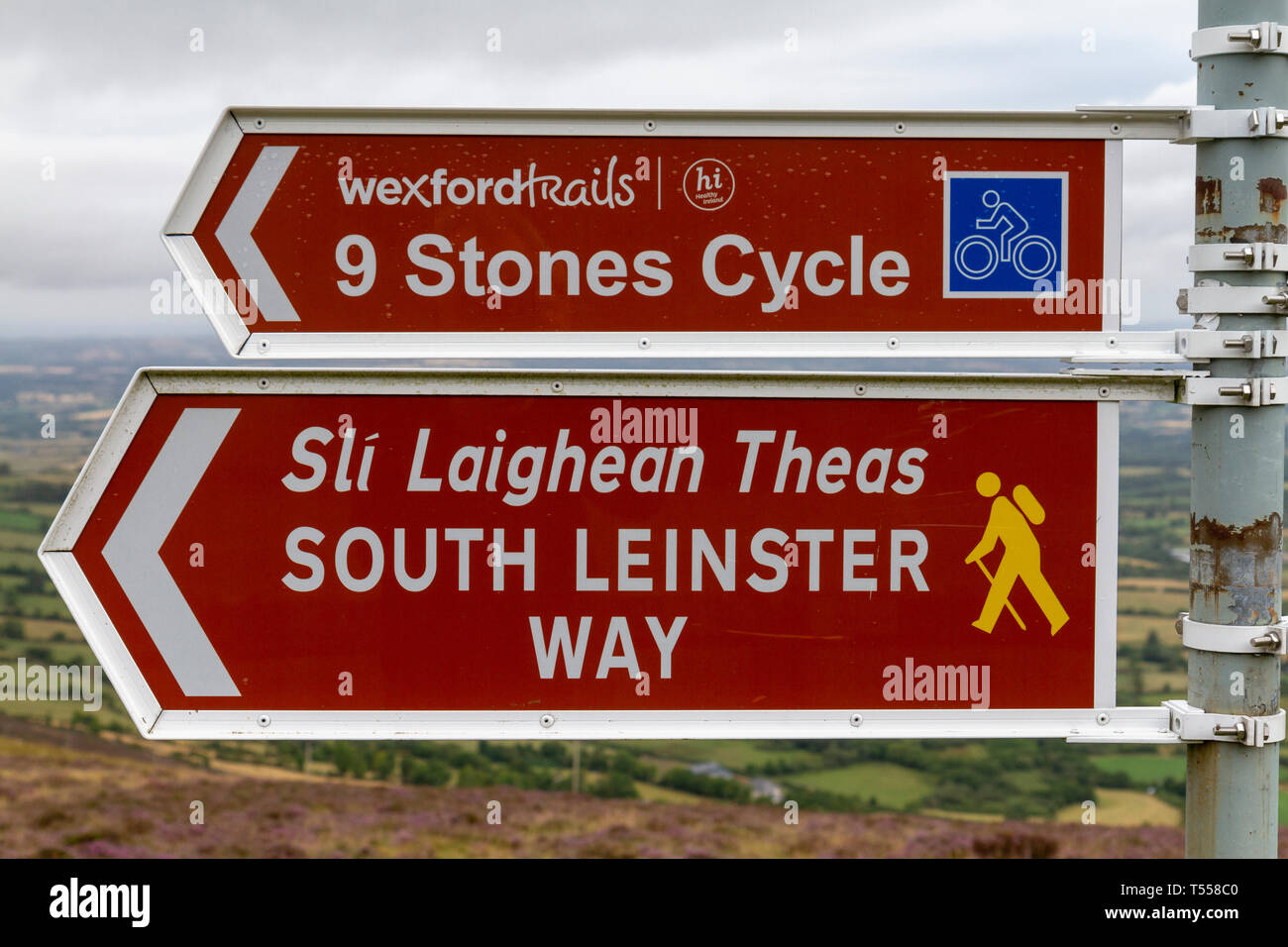 Typical tourist direction signs on Mount Leinster Heritage Drive, Co ...