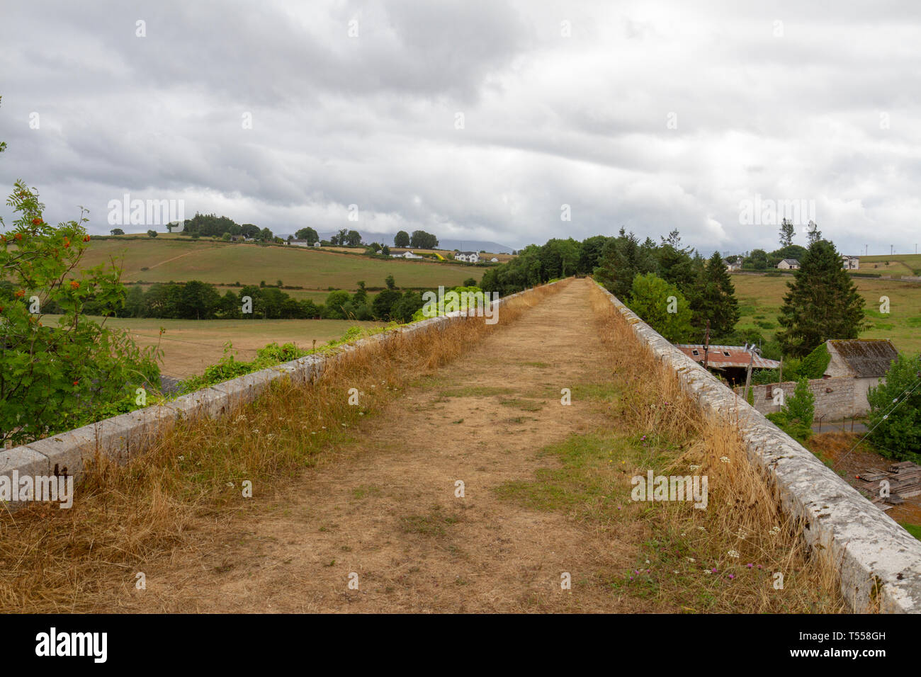 The Borris Viaduct, a 16-arch limestone viaduct built in 1860, Borris ...