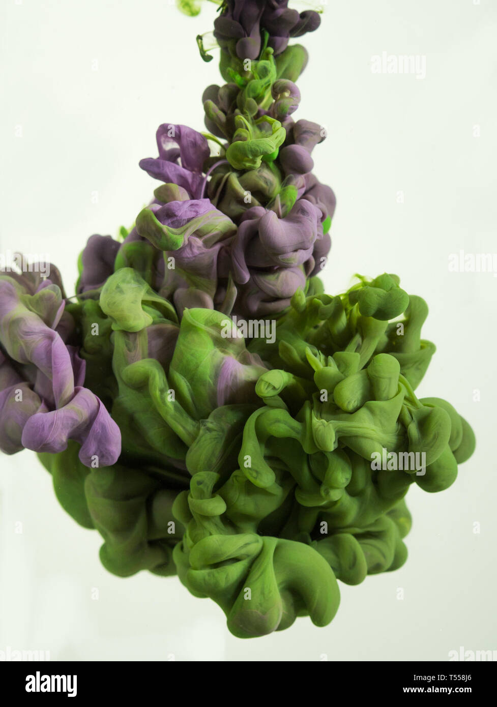 colorful ink drops in water Stock Photo - Alamy