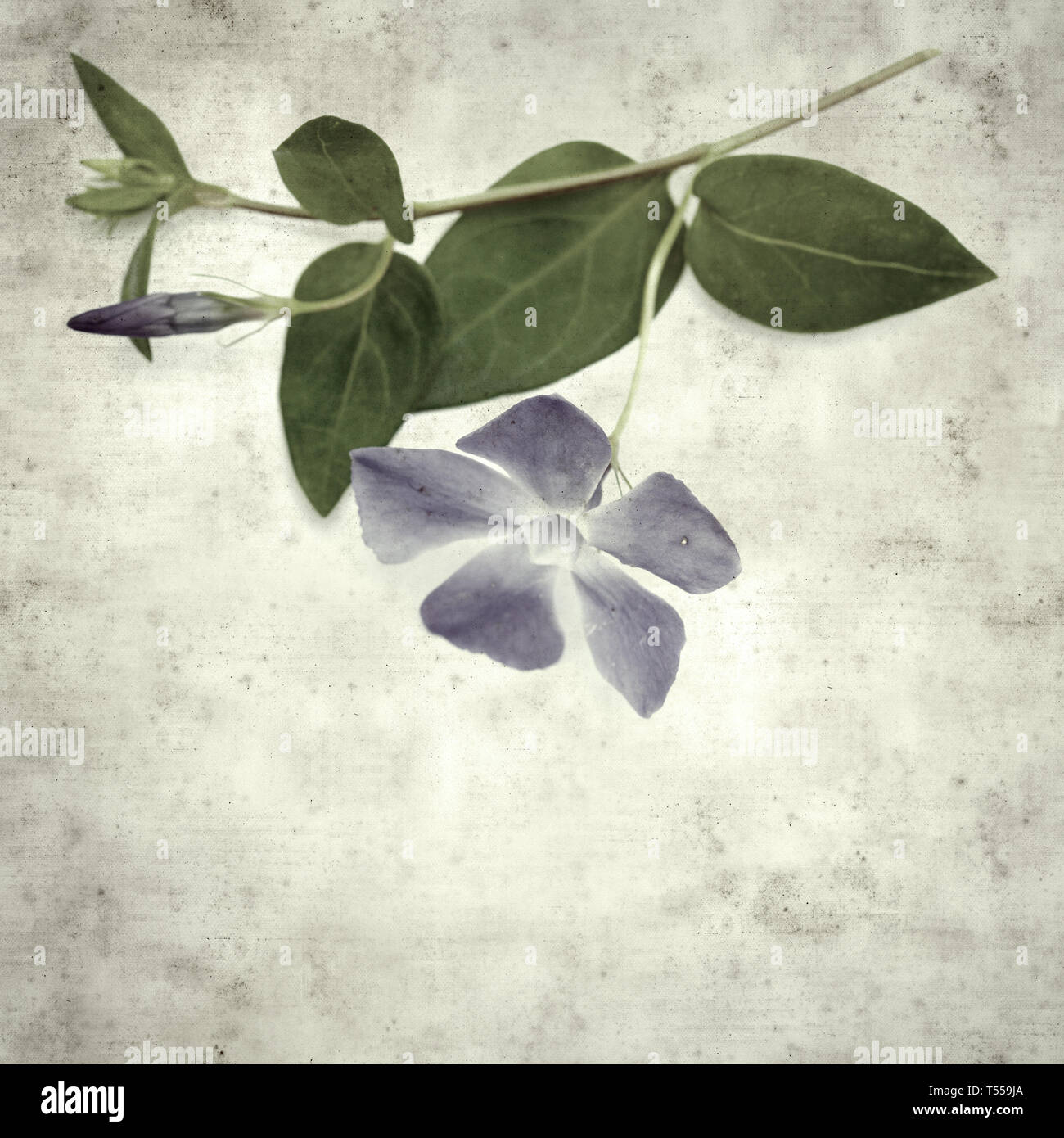 Periwinkle blue paper texture hi-res stock photography and images - Alamy