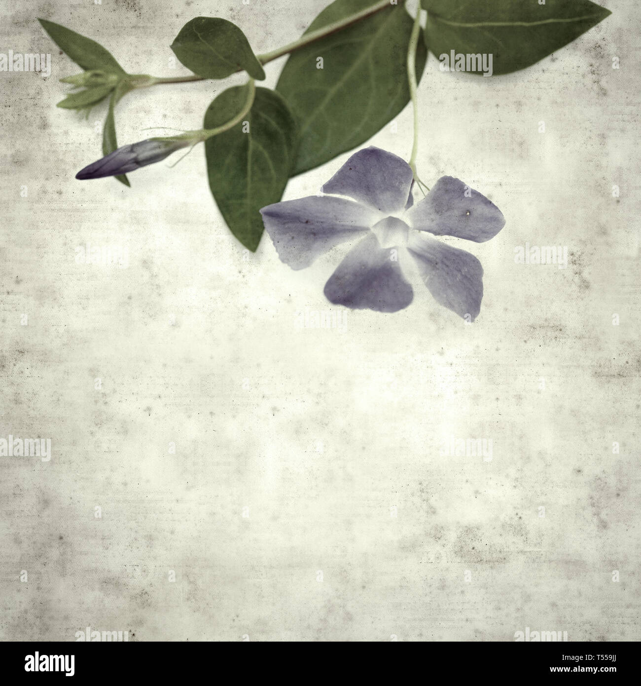 Periwinkle blue paper texture hi-res stock photography and images - Alamy