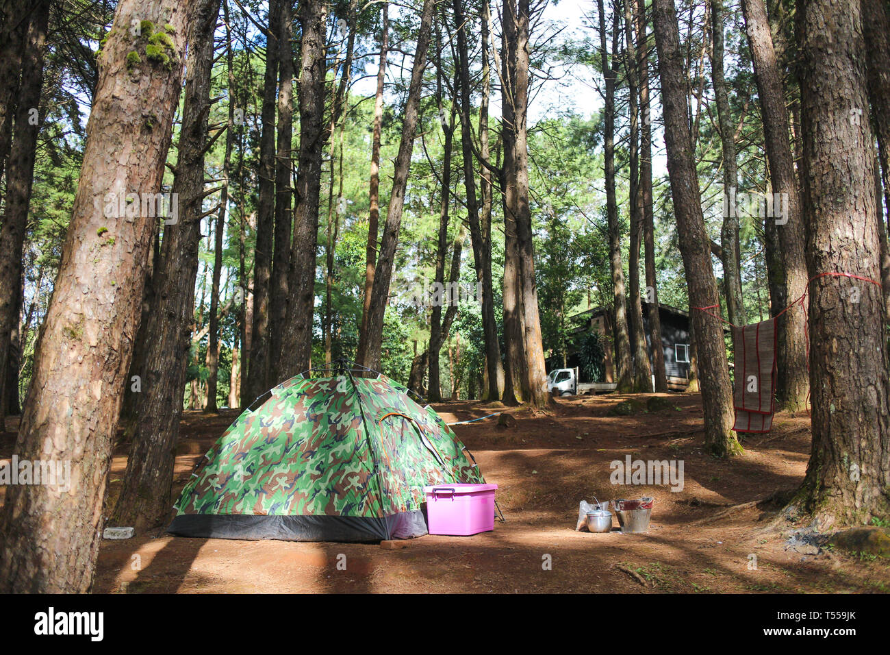 camping in forest Stock Photo - Alamy