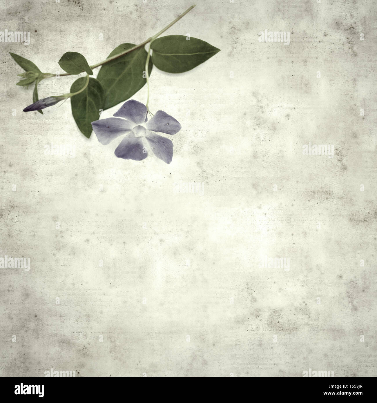 Periwinkle blue paper texture hi-res stock photography and images - Alamy