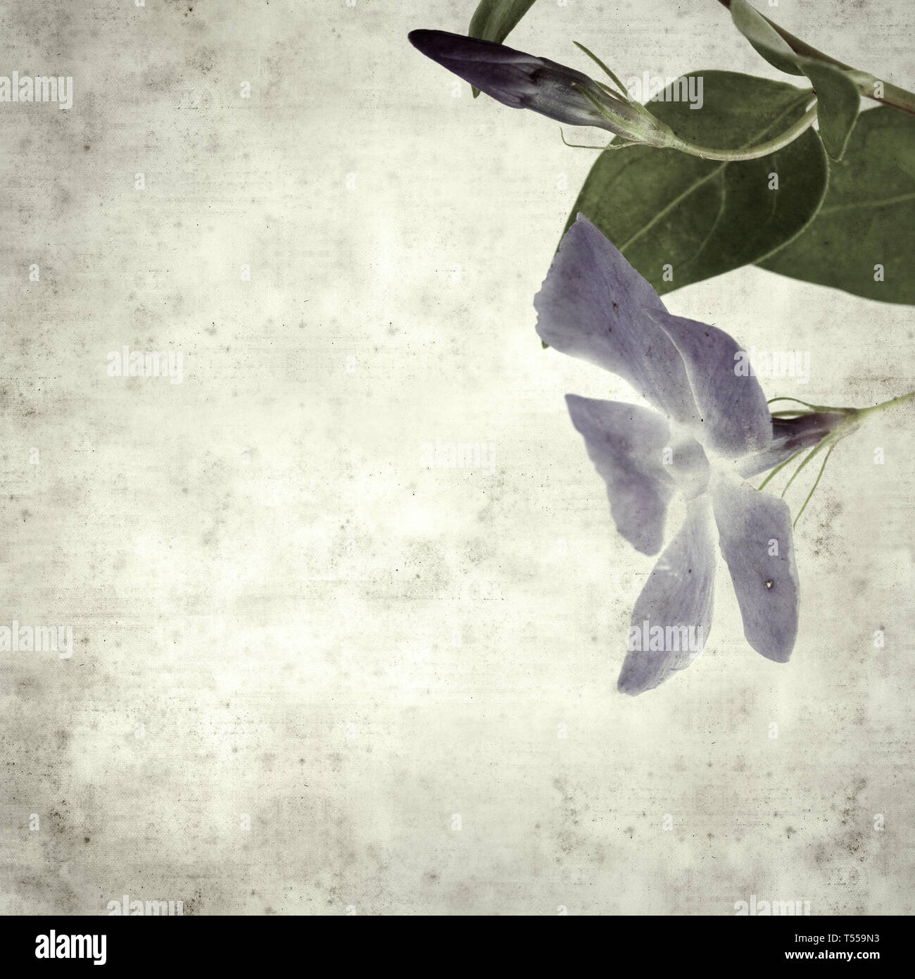 Periwinkle blue paper texture hi-res stock photography and images - Alamy