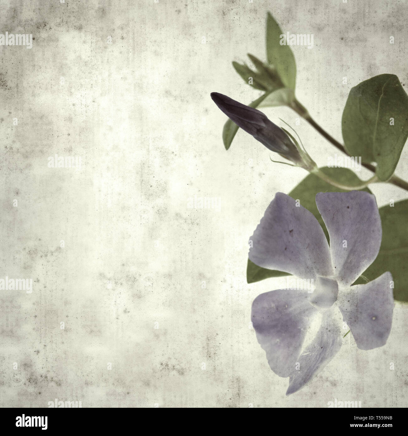 Periwinkle blue paper texture hi-res stock photography and images - Alamy