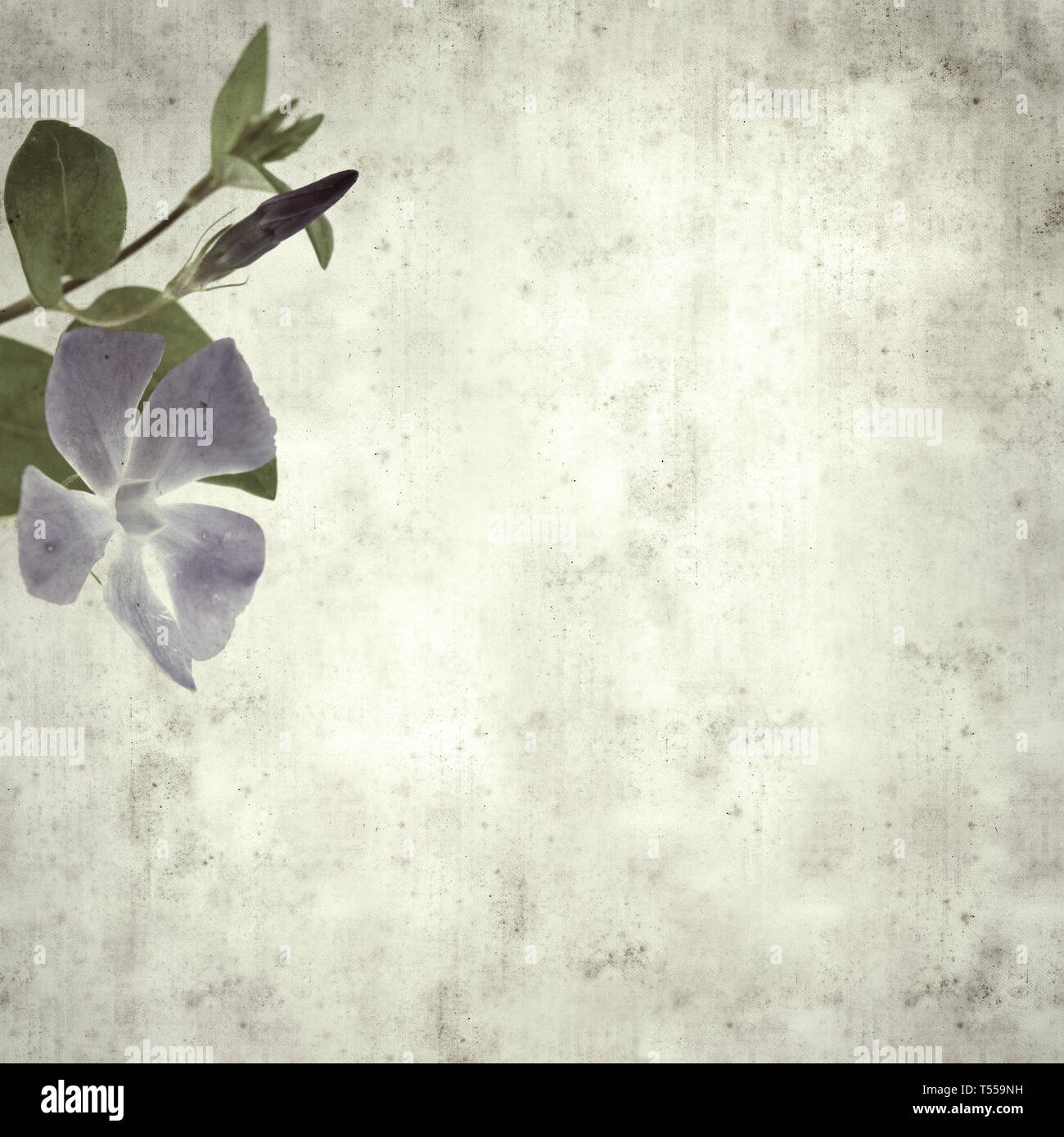 Periwinkle blue paper texture hi-res stock photography and images - Alamy