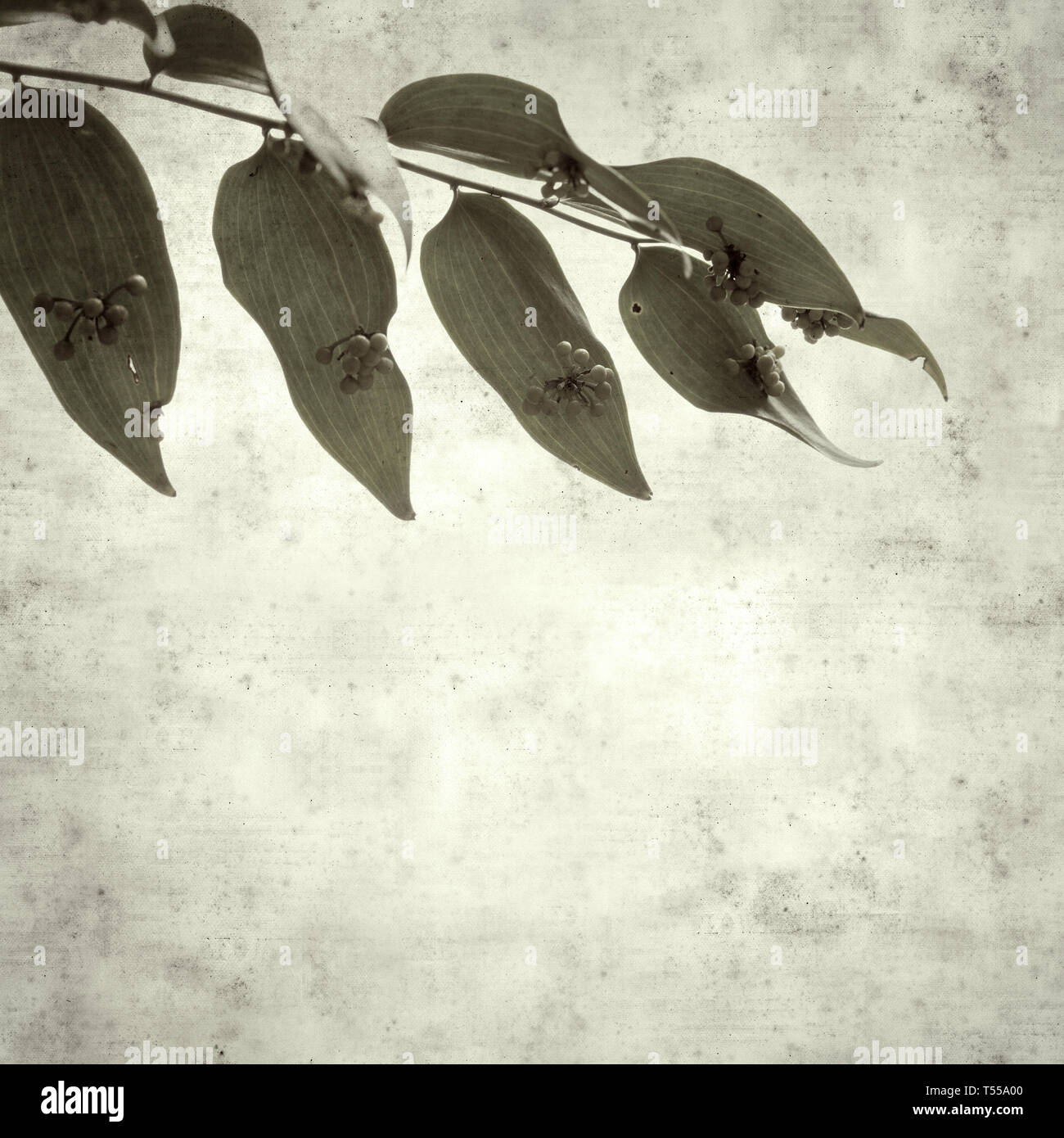 textured stylish old paper background, square, with dark green leaves ...