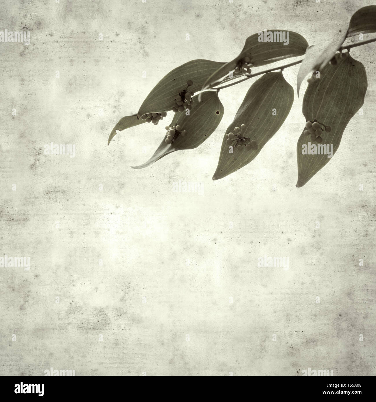 textured stylish old paper background, square, with dark green leaves ...