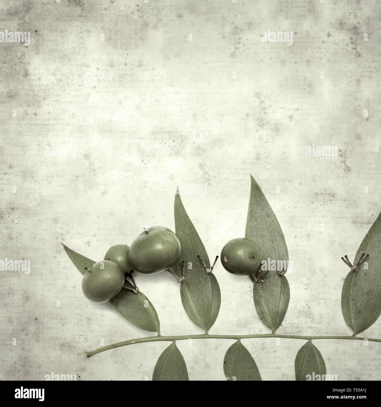 textured stylish old paper background, square, with dark green leaves ...