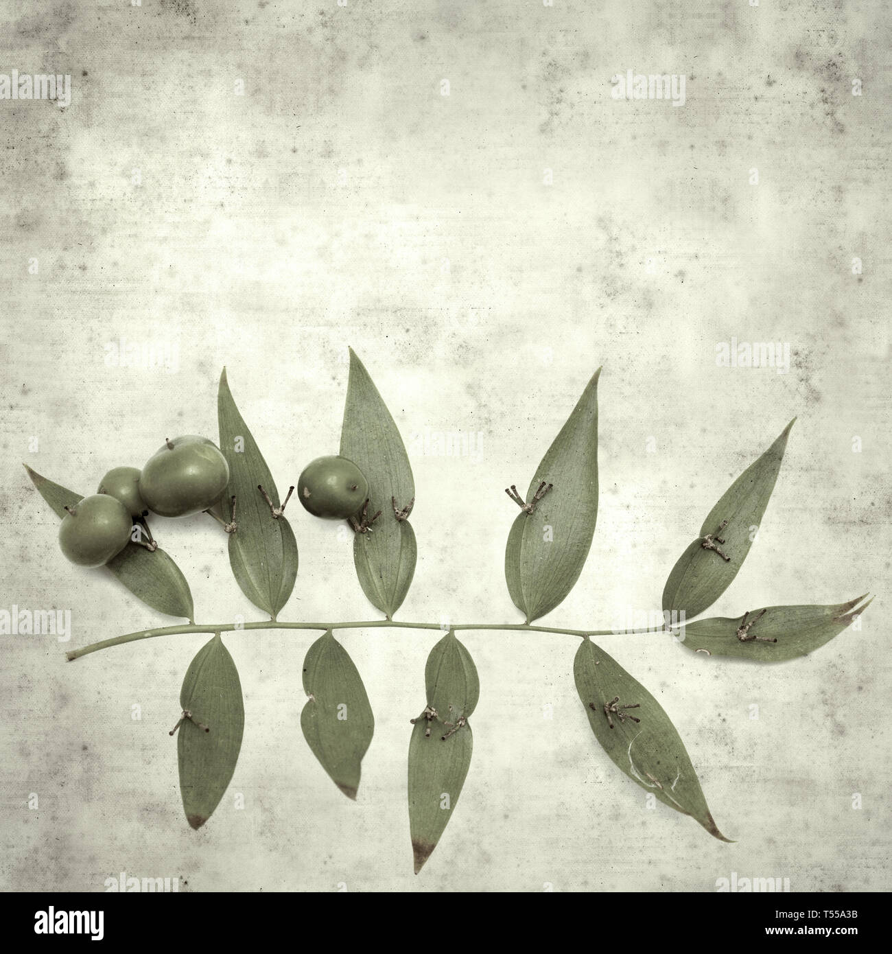 textured stylish old paper background, square, with dark green leaves ...