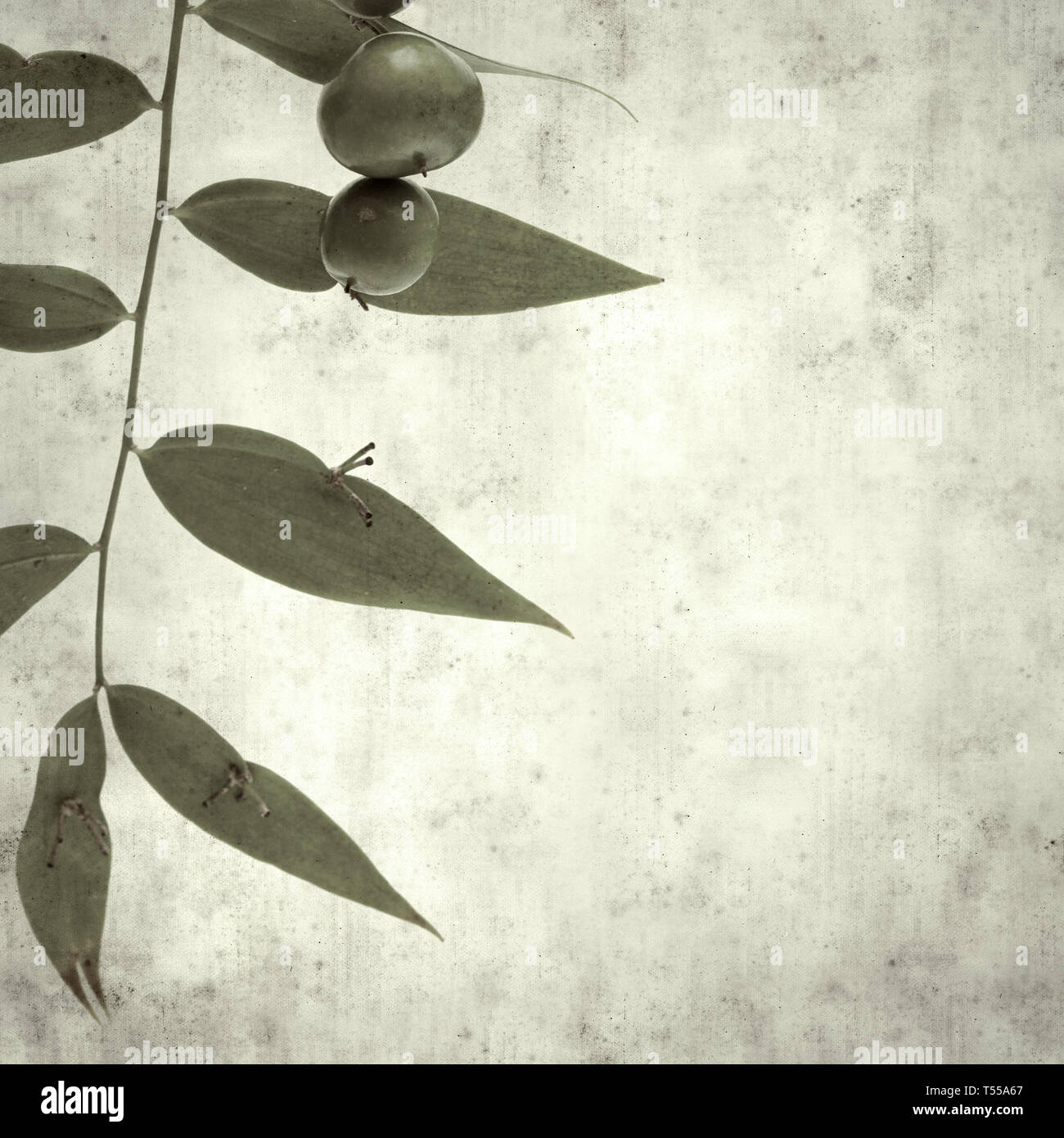 textured stylish old paper background, square, with dark green leaves ...