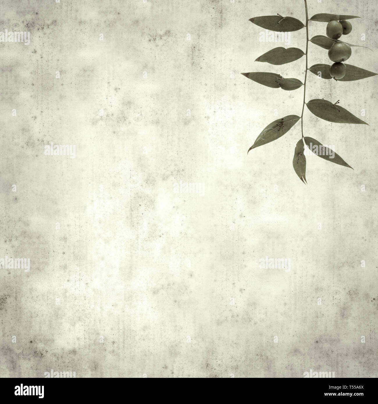 textured stylish old paper background, square, with dark green leaves ...