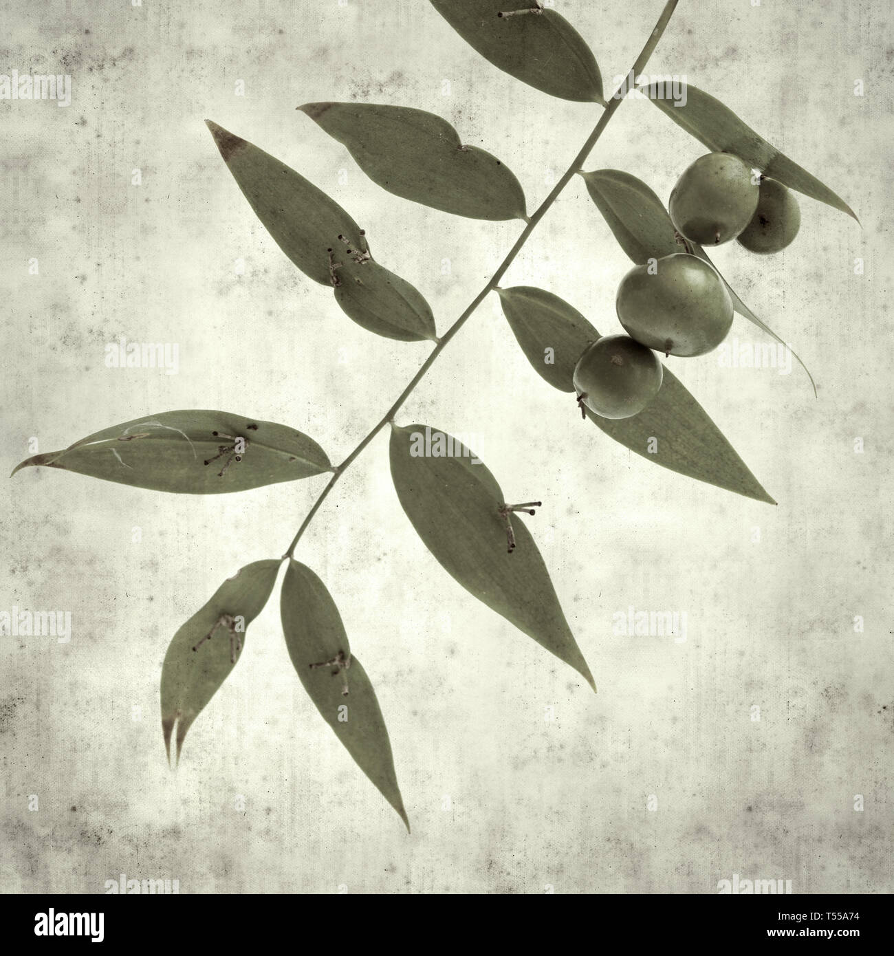 textured stylish old paper background, square, with dark green leaves ...