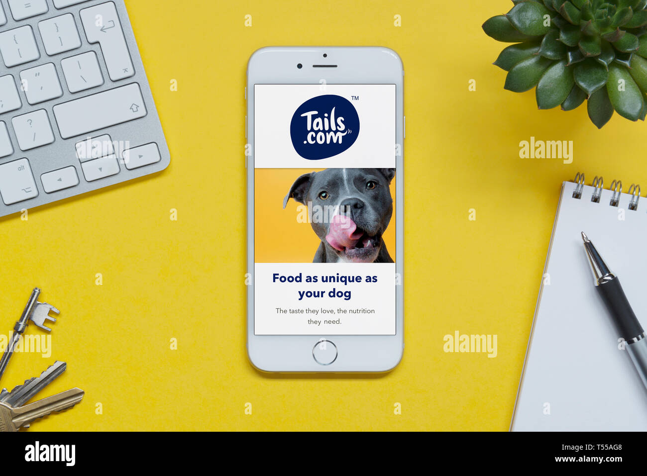 An iPhone showing the Tails.com website rests on a yellow background ...