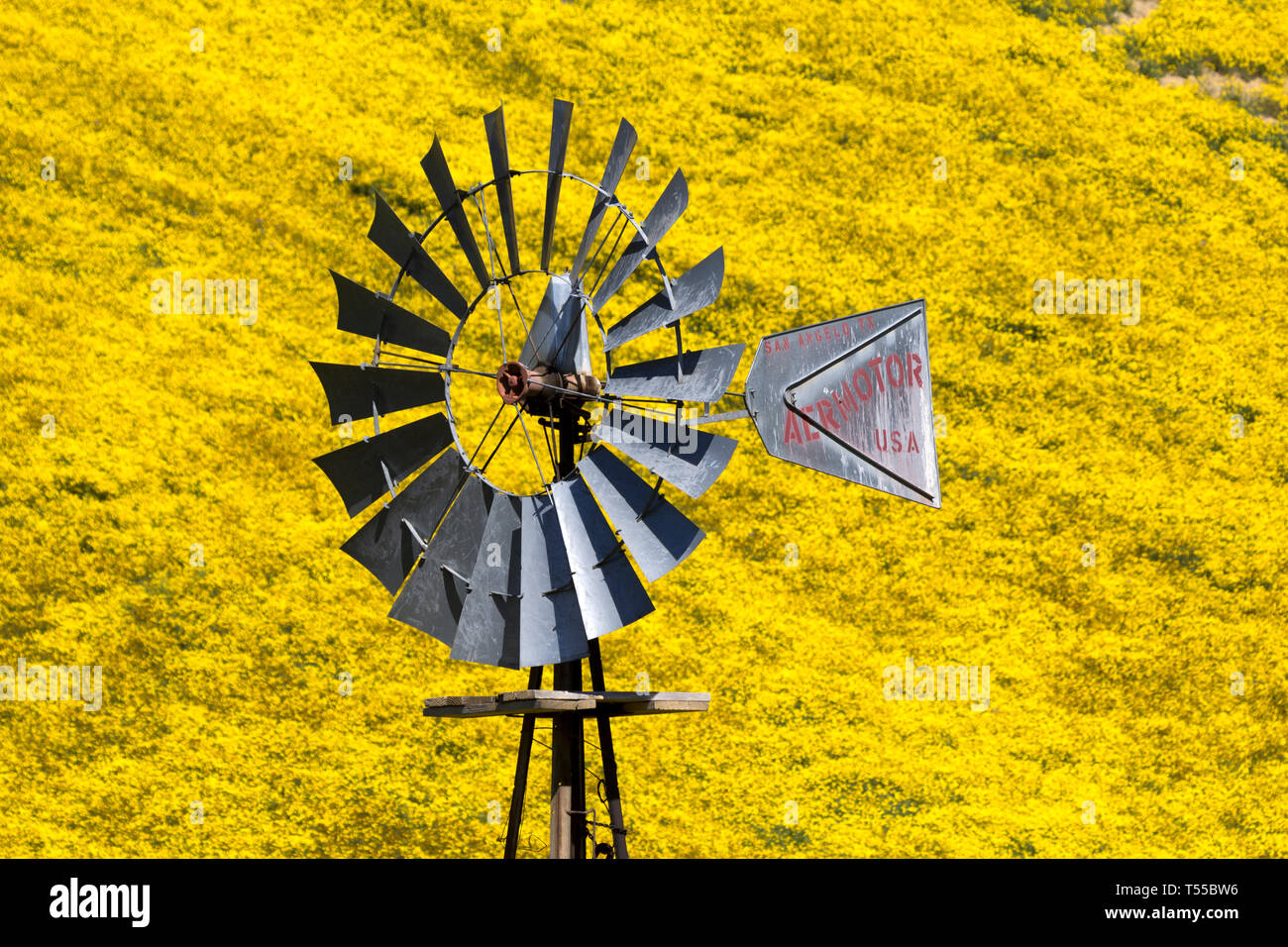 A windmill sits in a valley below wildlfower covered hillsin the along ...