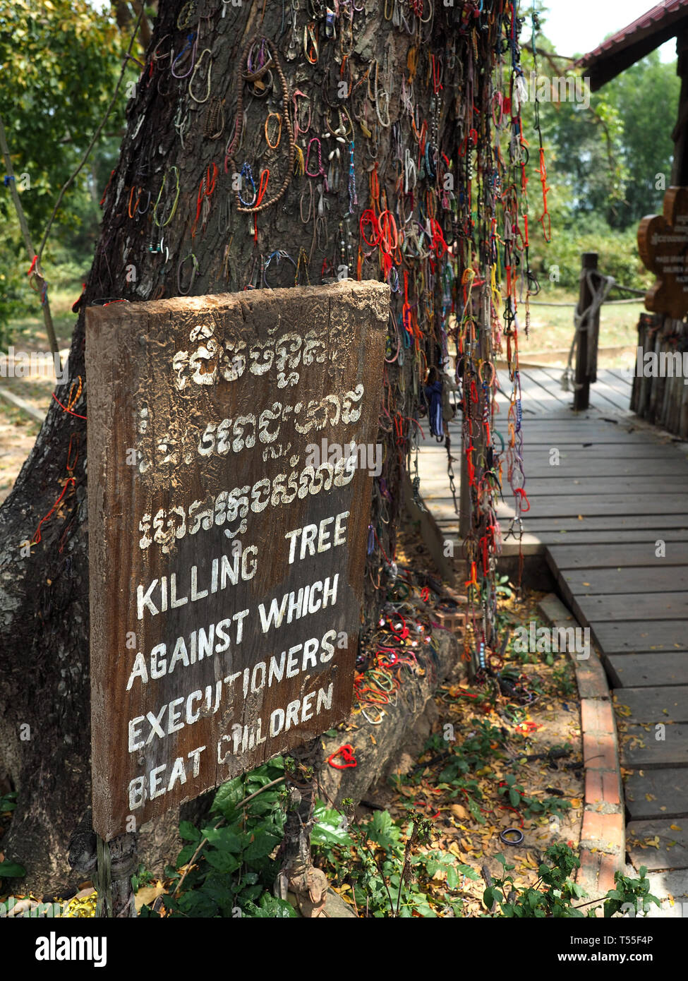 Chankiri tree cambodia hi-res stock photography and images - Alamy