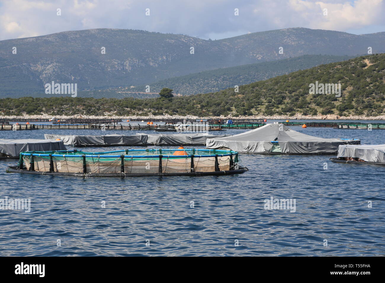 Greece, Fish farming Stock Photo - Alamy