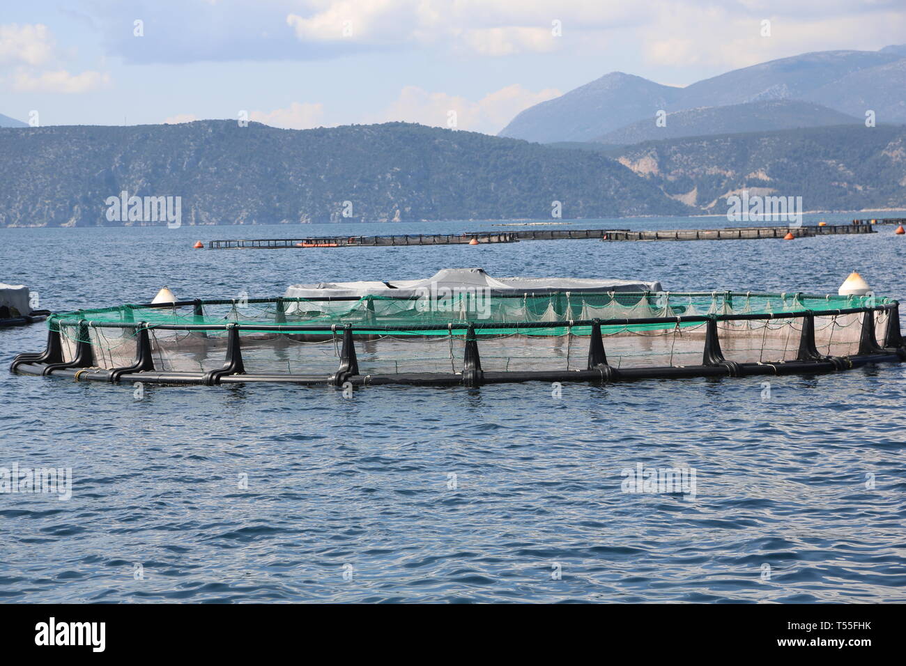 Greece, Fish farming Stock Photo - Alamy