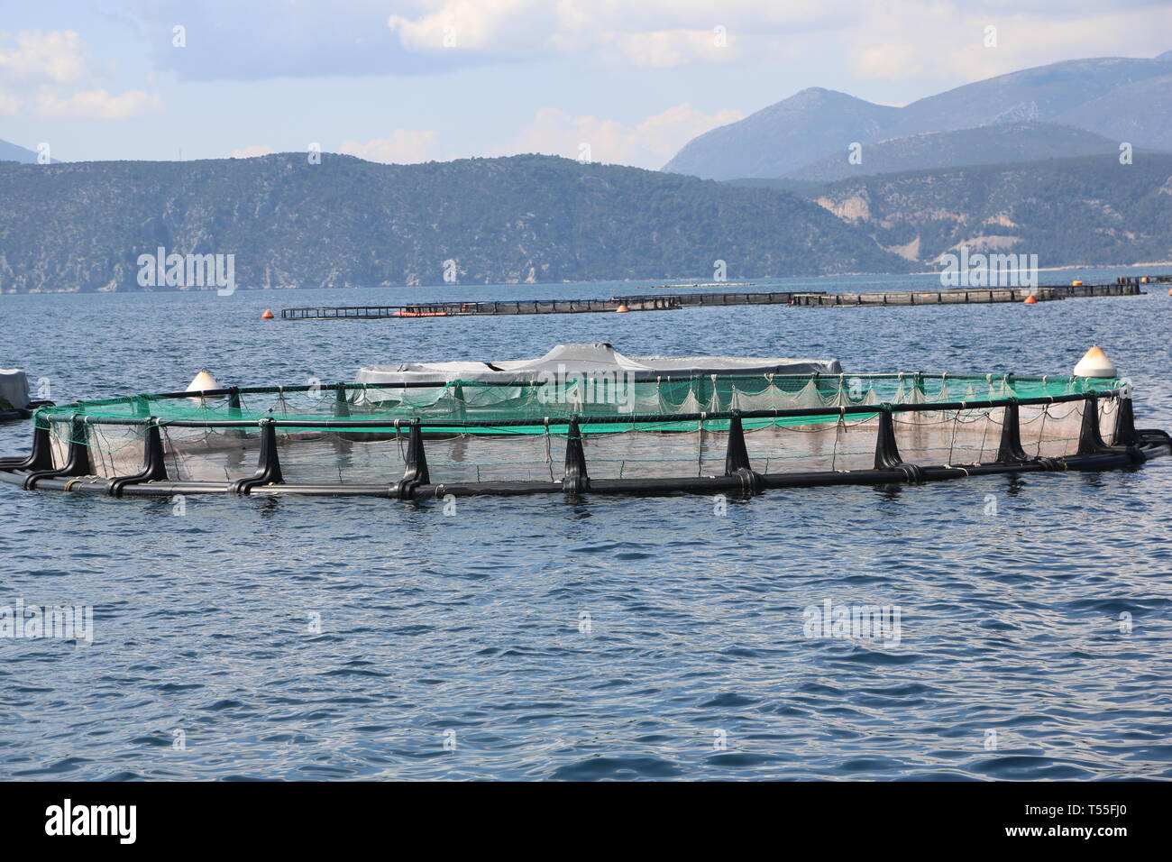 Greece, Fish farming Stock Photo - Alamy