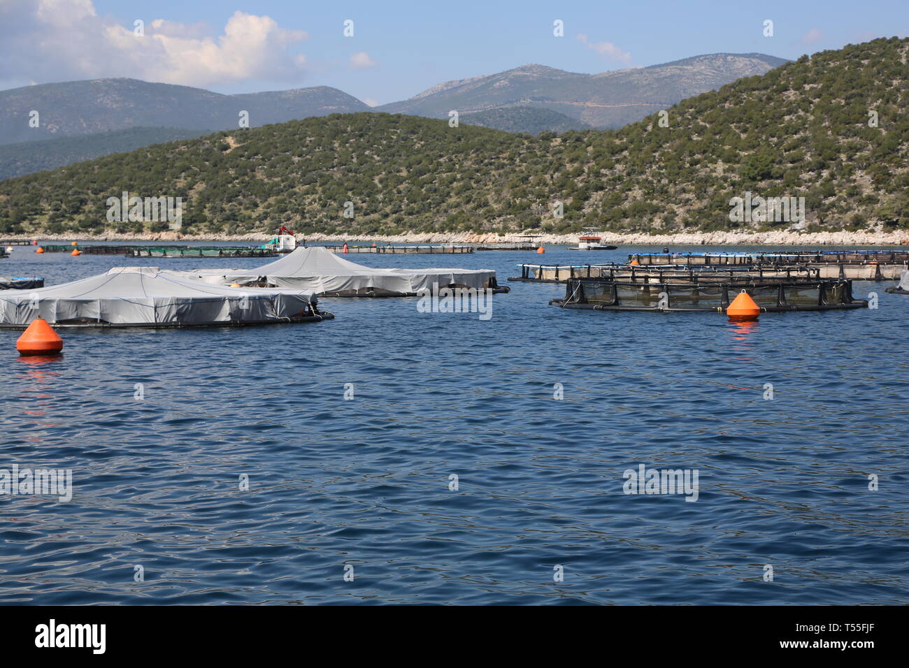 Greece, Fish farming Stock Photo - Alamy