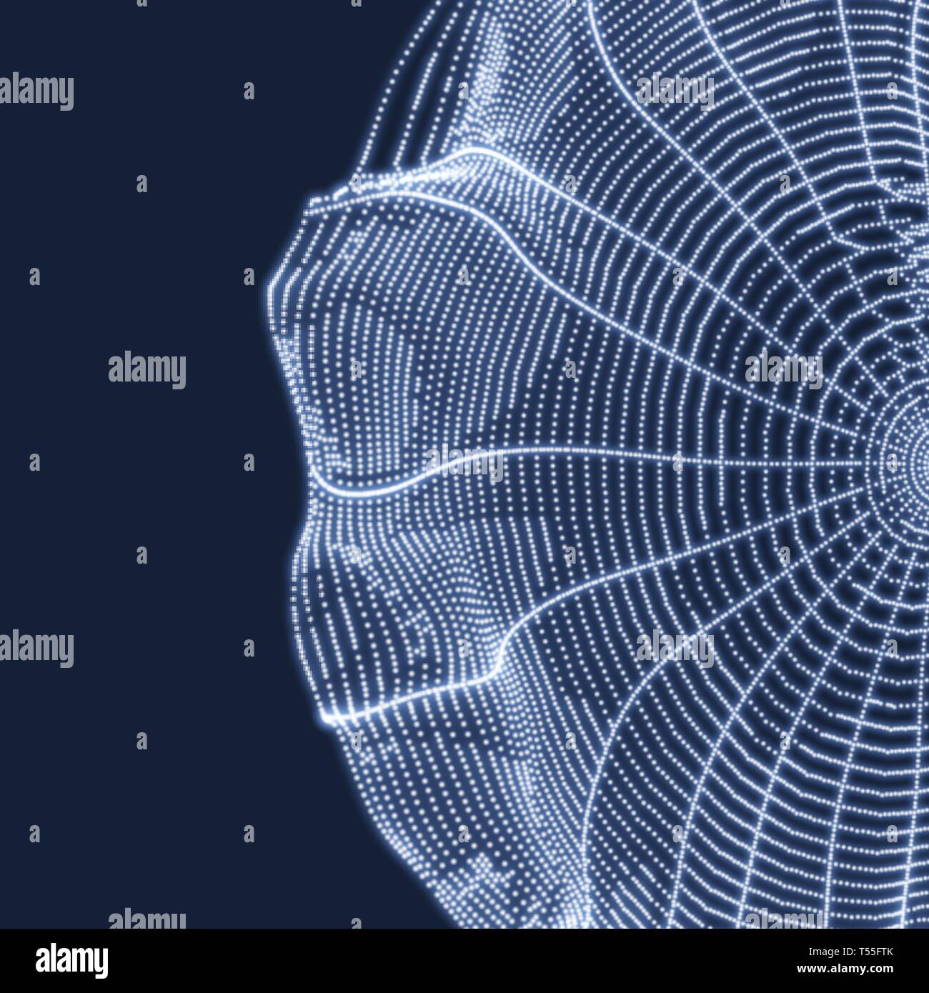 Network cobweb Stock Vector Images - Alamy