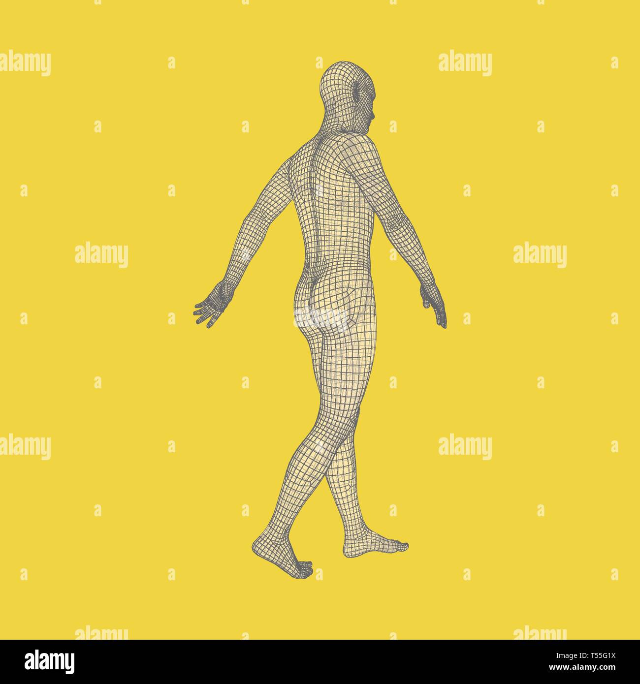 Walking Man. 3D Human Body Model. Geometric Design Stock Vector Image ...