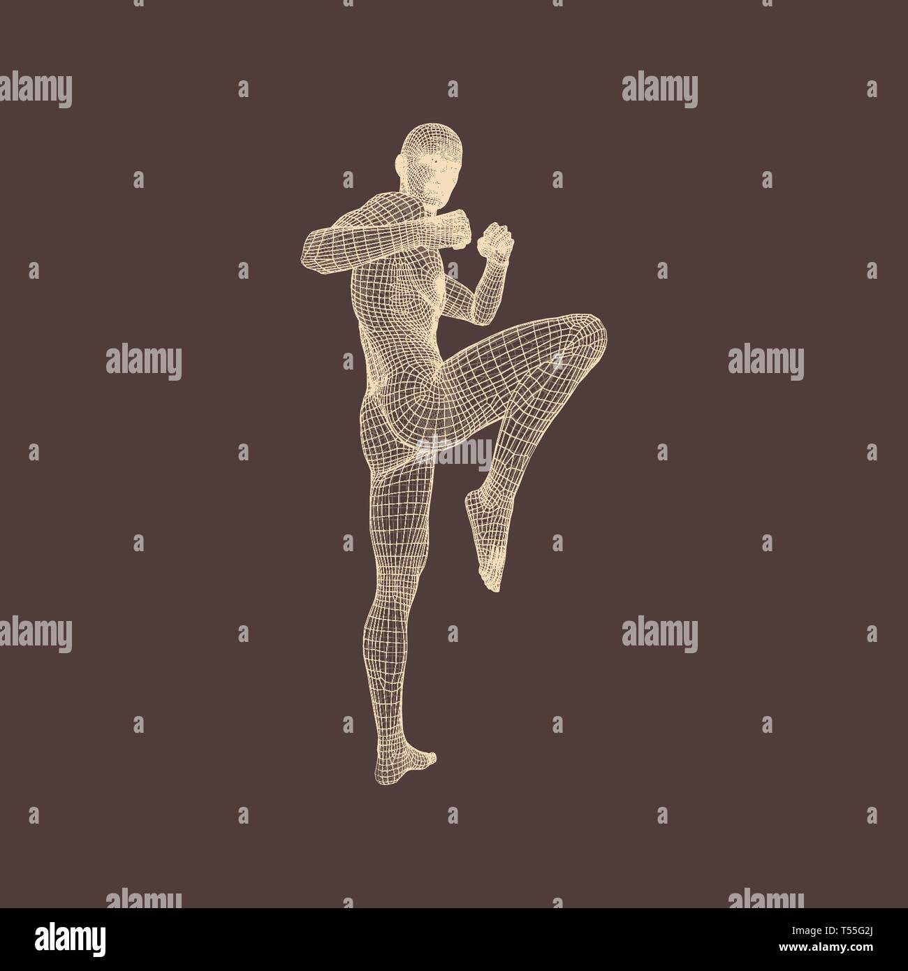 Kickbox Fighter Preparing to Execute a High Kick. Fitness, Sport ...