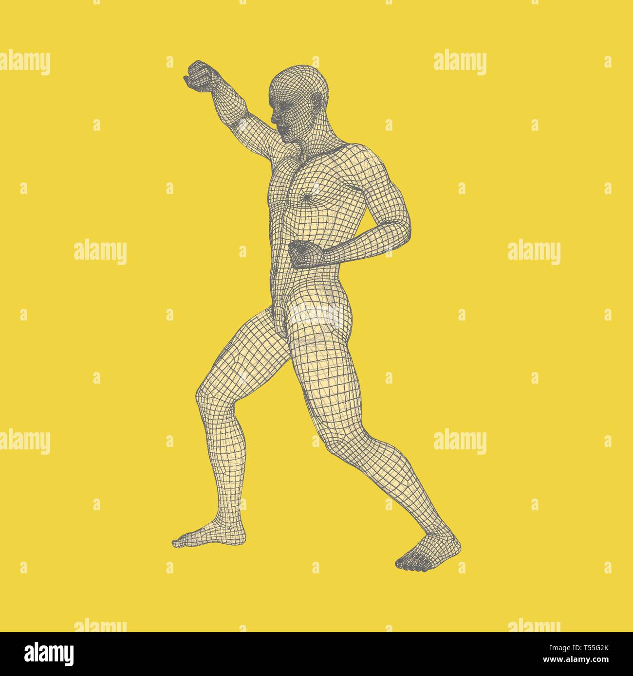 Fighter. 3D Model of Man. Human Body. Sport Symbol Stock Vector Image ...