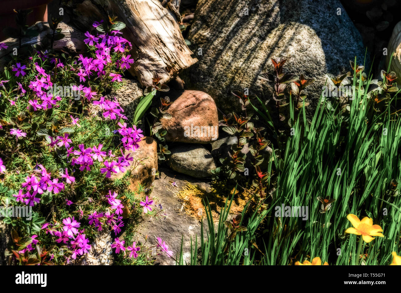 Stones in flower garden hi-res stock photography and images - Alamy