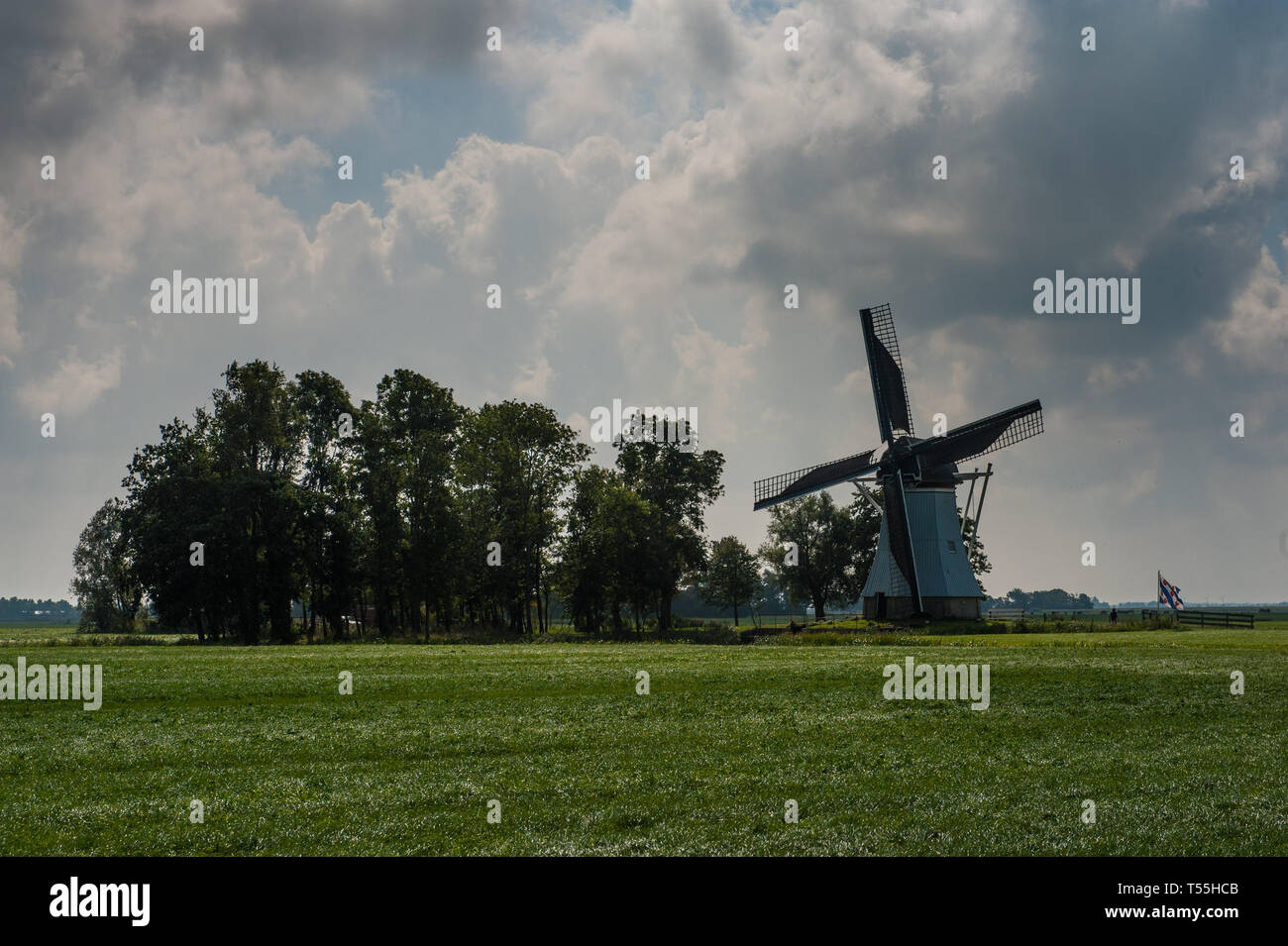 Traditional Dutch Windmill in Friesland Stock Photo - Alamy