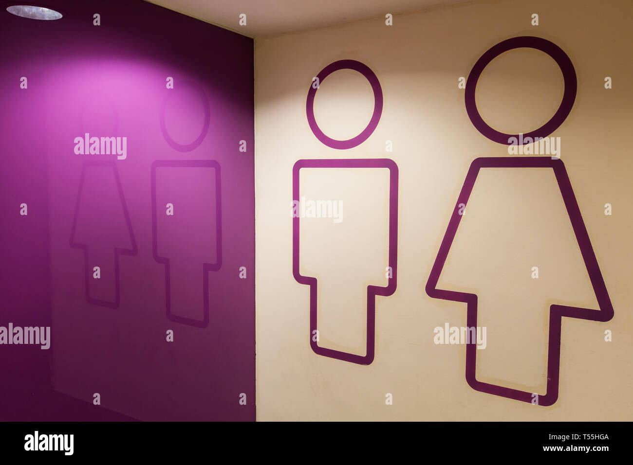 Purple colour outline of a toilet sign symbol which is universally ...