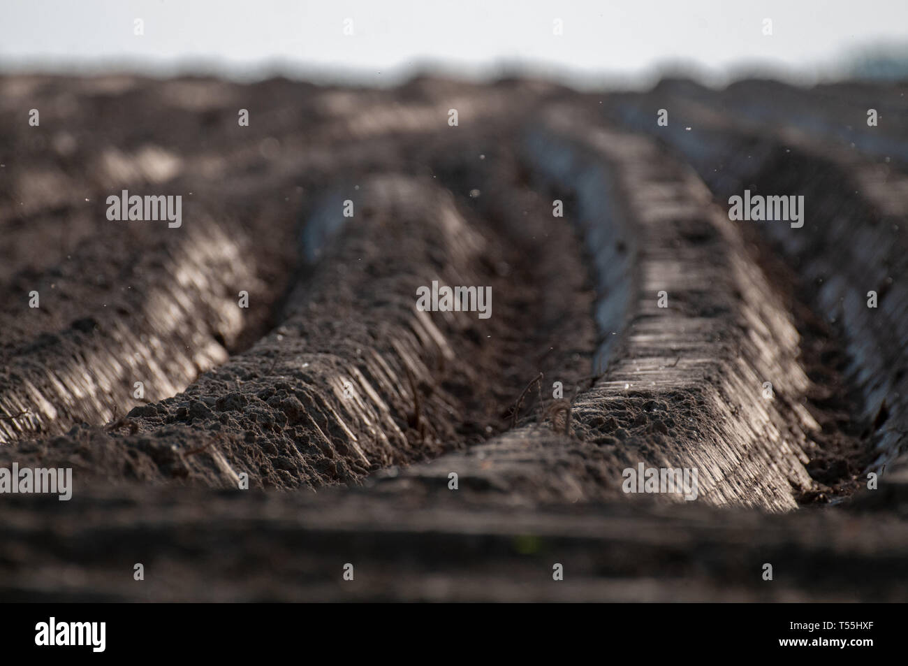 South africa freestate field hi-res stock photography and images - Alamy
