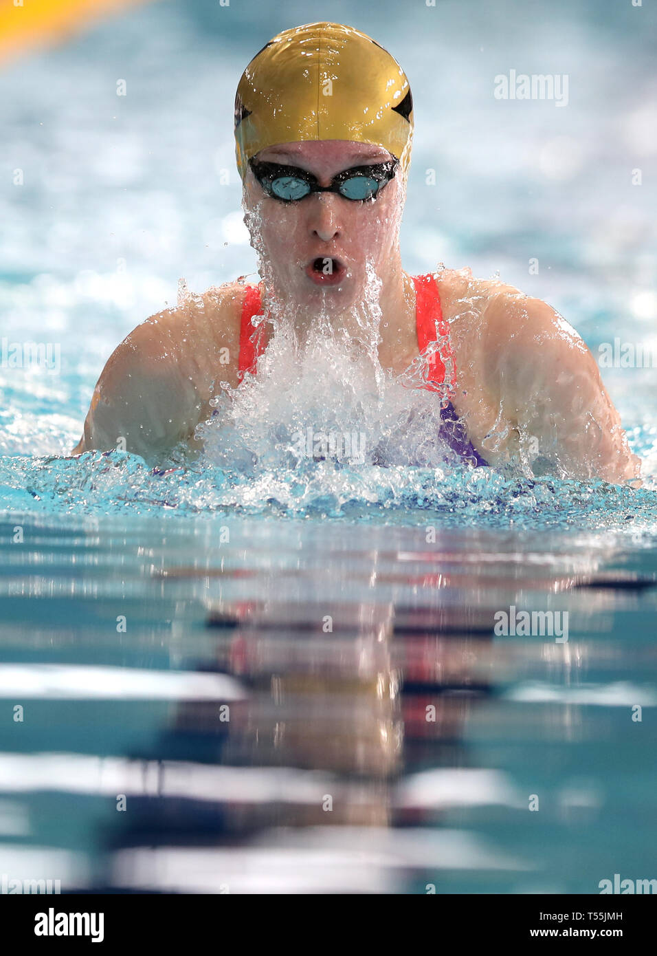 M mead hi-res stock photography and images - Alamy