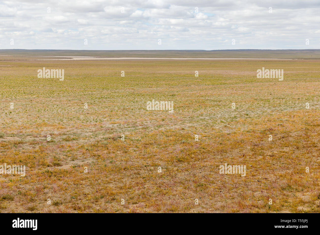 Gobi desert, Typical Mongolian landscape, Gobi desert landscape ...