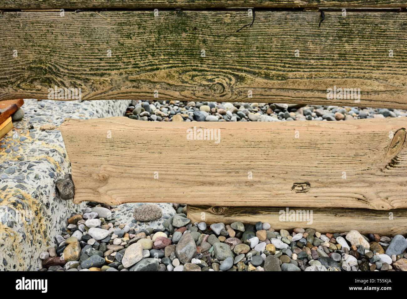 Close up timber planking on wooden beach groyne, one timber plank with ...